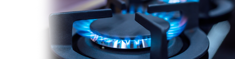 Gaspreise 2025: aktuelle Preise, Trends & Prognosen